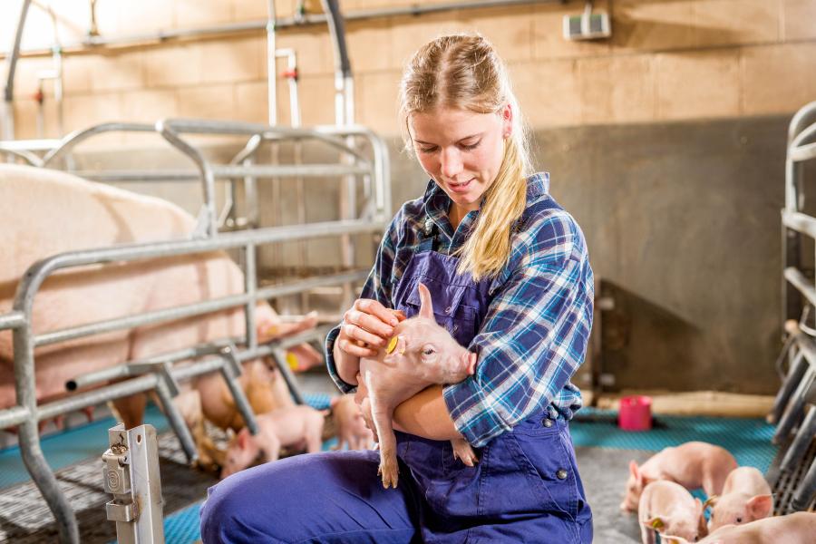 Provimi, une firme service nutrition animale