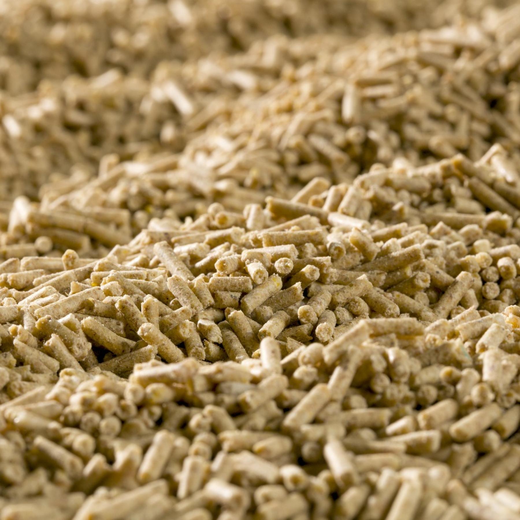 Des premix adaptés à vos animaux