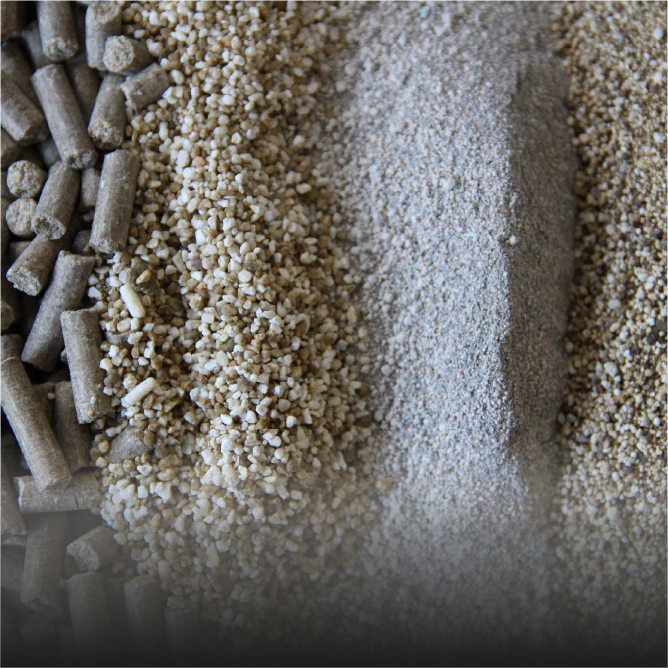 Les ruminants chez Provimi