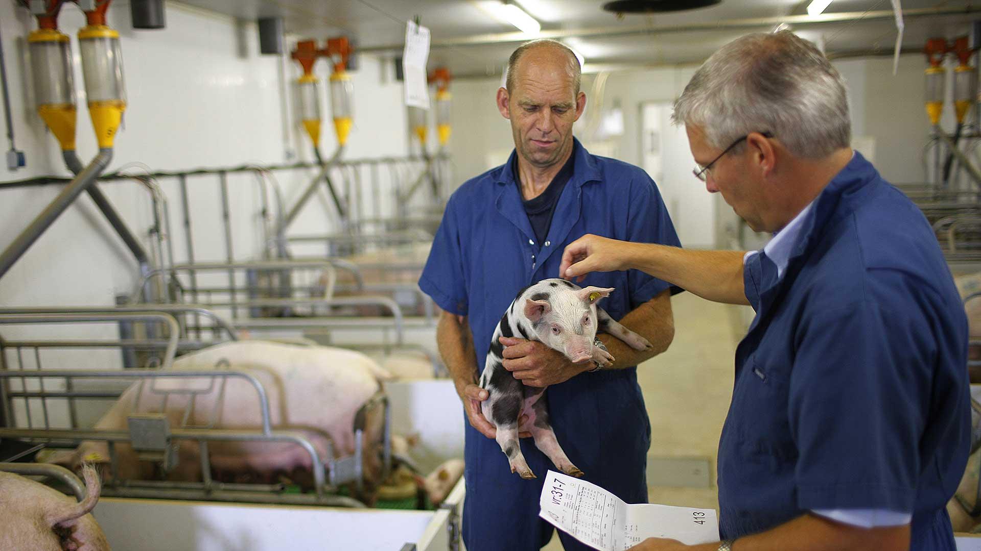 Provimi, une firme service nutrition animale